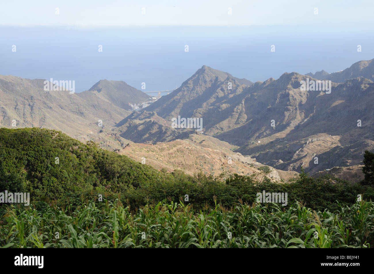 Anaga Mountains, Canary Island Tenerife, Spain Stock Photo - Alamy