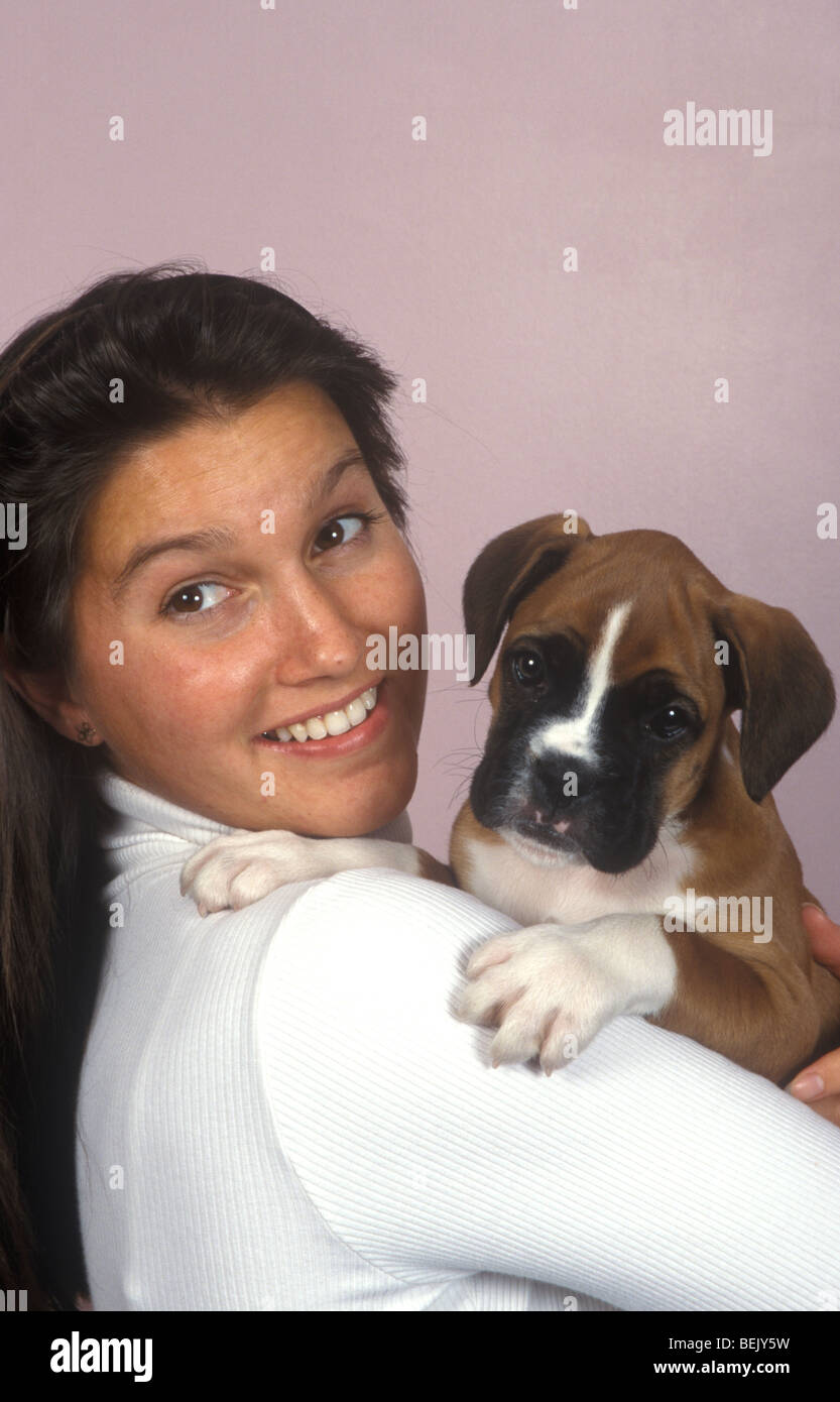 Boxer dog portraits hi-res stock photography and images - Alamy