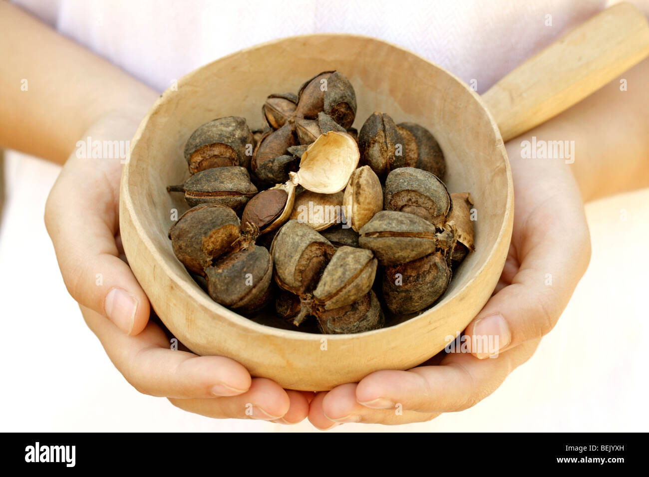 Inchi nuts hi-res stock photography and images - Alamy