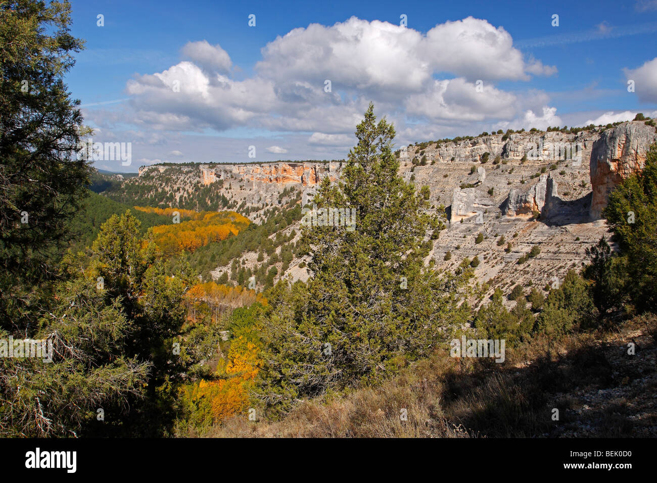 Cañon del rio Lobos Natural Park Stock Photo - Alamy