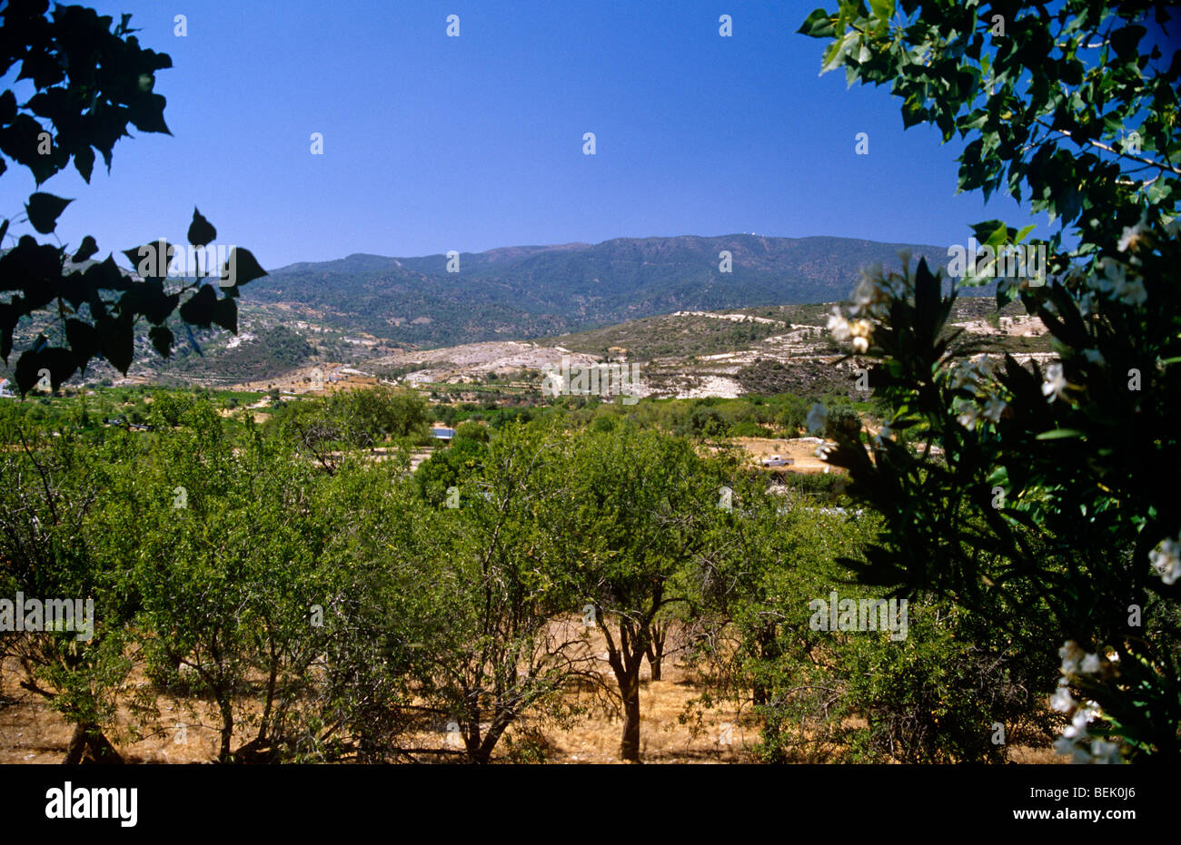 View of Mount Olympus. Hills and trees. TROODOS MOUNTAINS. CYPRUS Stock ...