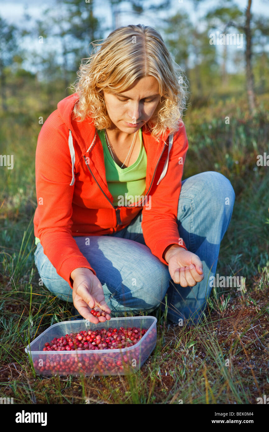 Berry Picking Tundra High Resolution Stock Photography and Images - Alamy