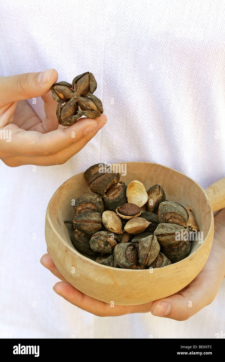 Medicinal inchi hi-res stock photography and images - Alamy