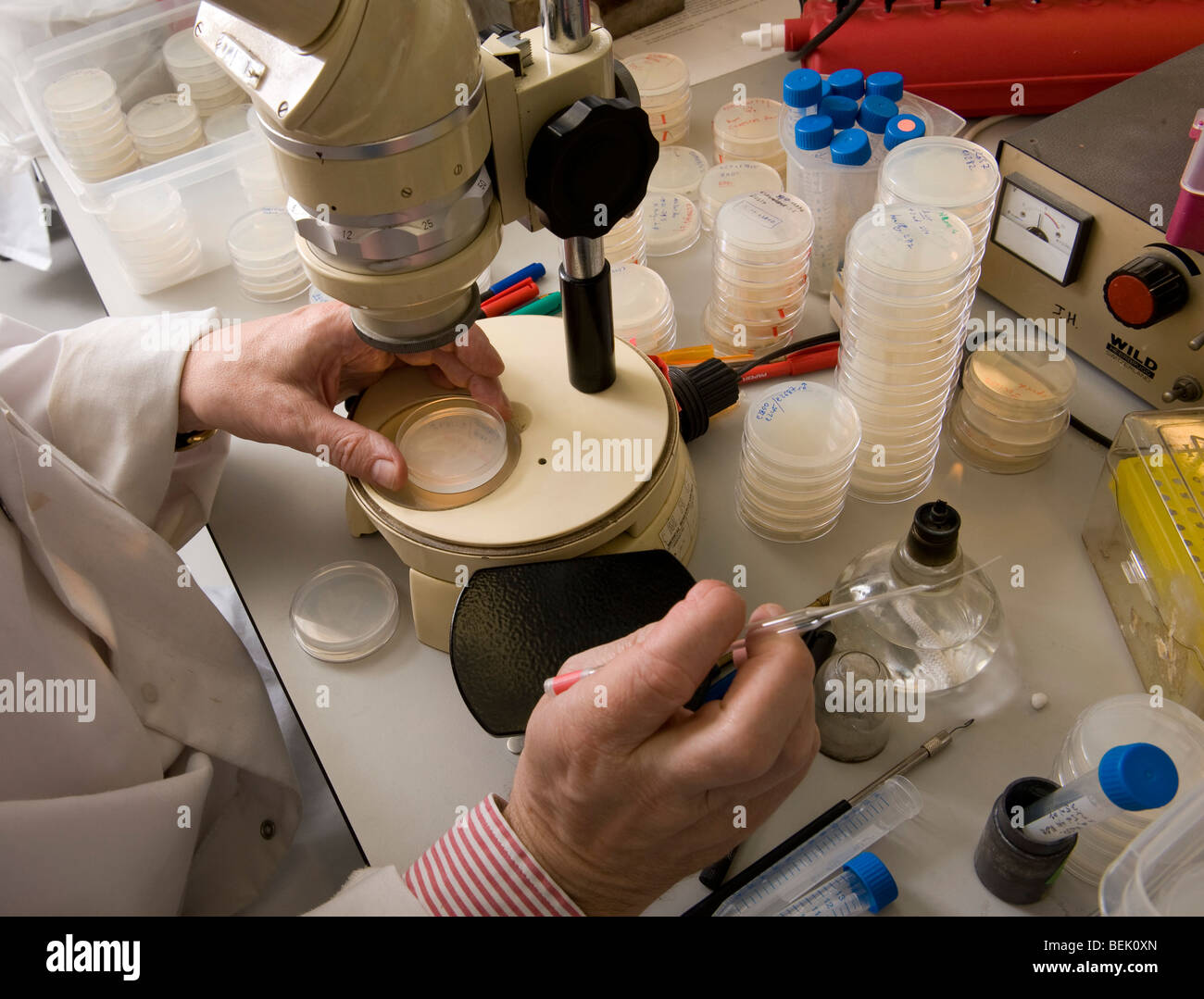 Working in the world of biochemistry to find new ways to make drugs and ...