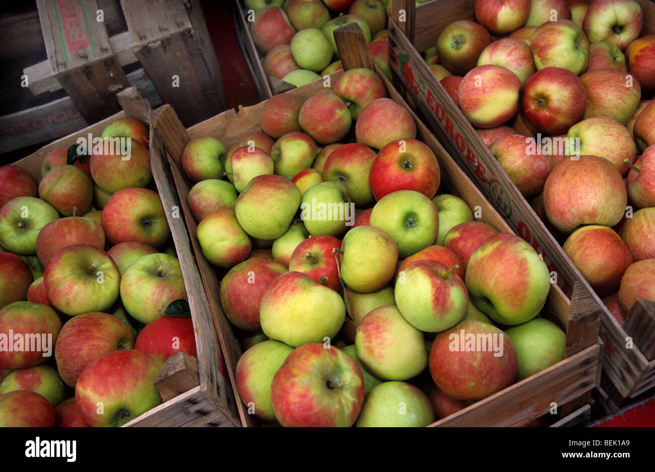 Cultivated Jonagold apples in wooden boxes at fruit market, St-Truiden ...