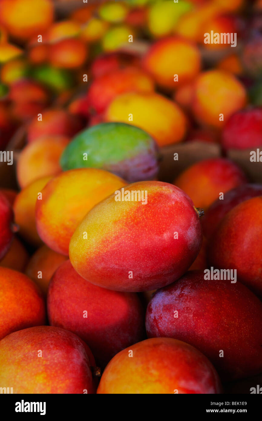Close-up of mangoes Stock Photo - Alamy