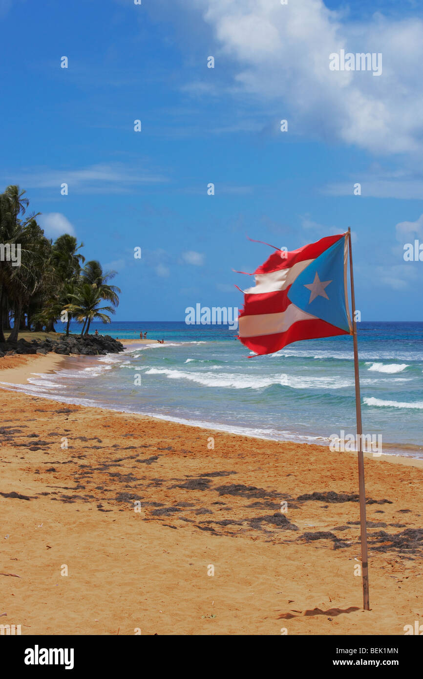 Puerto Rican flag fluttering on the beach, Luquillo Beach, Puerto Rico ...