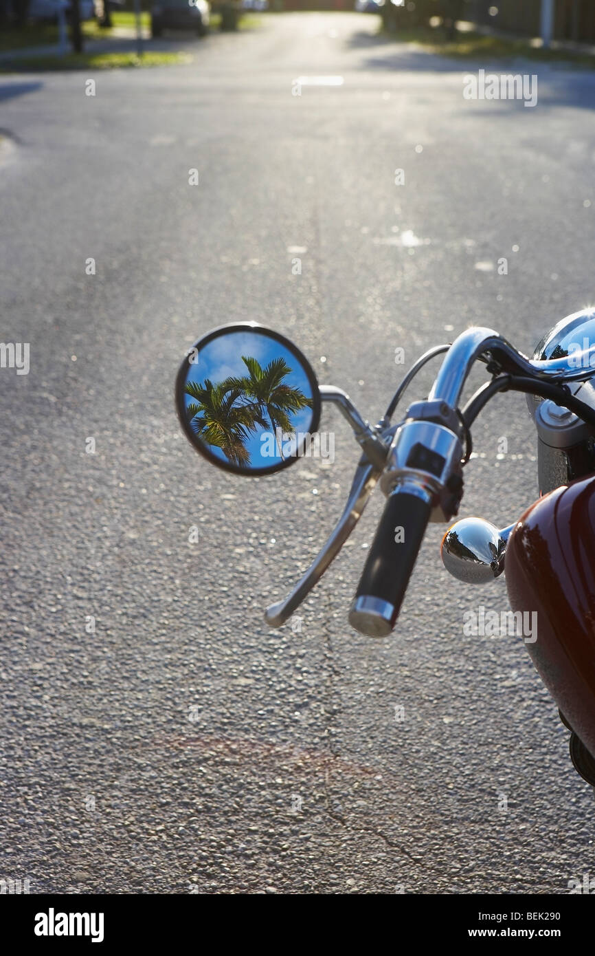 Reflection of palm trees in a side view mirror of a motorcycle Stock ...