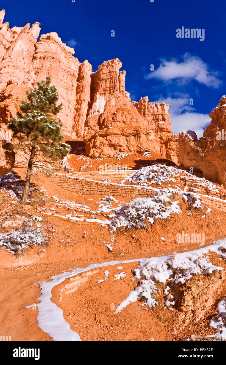 Switchbacks and rock formations along the Queens Garden Trail, Bryce ...