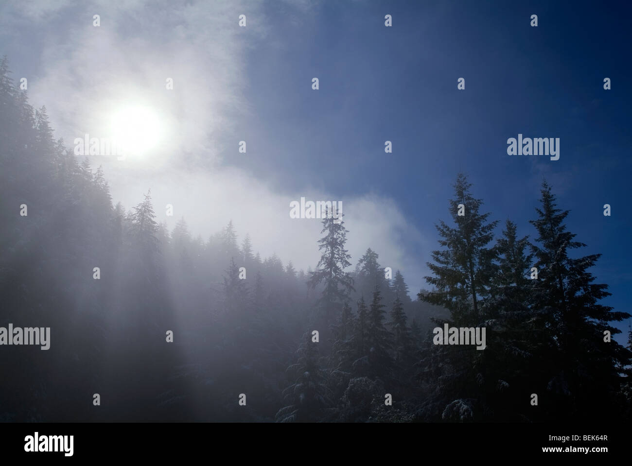 Sun shining through fog over mountain Stock Photo - Alamy
