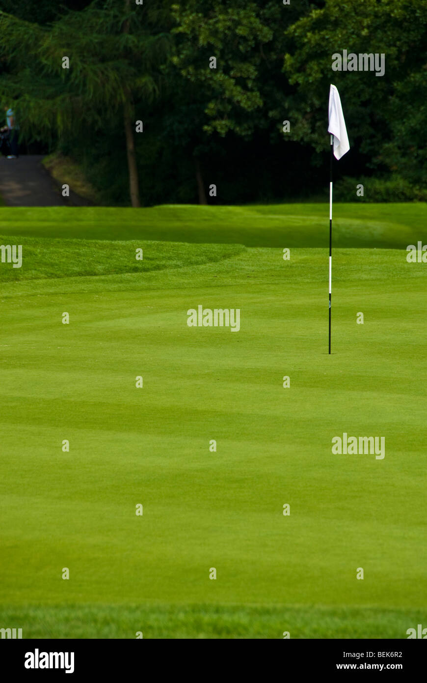 Golf Course Green Hole Flag Stock Photo - Alamy