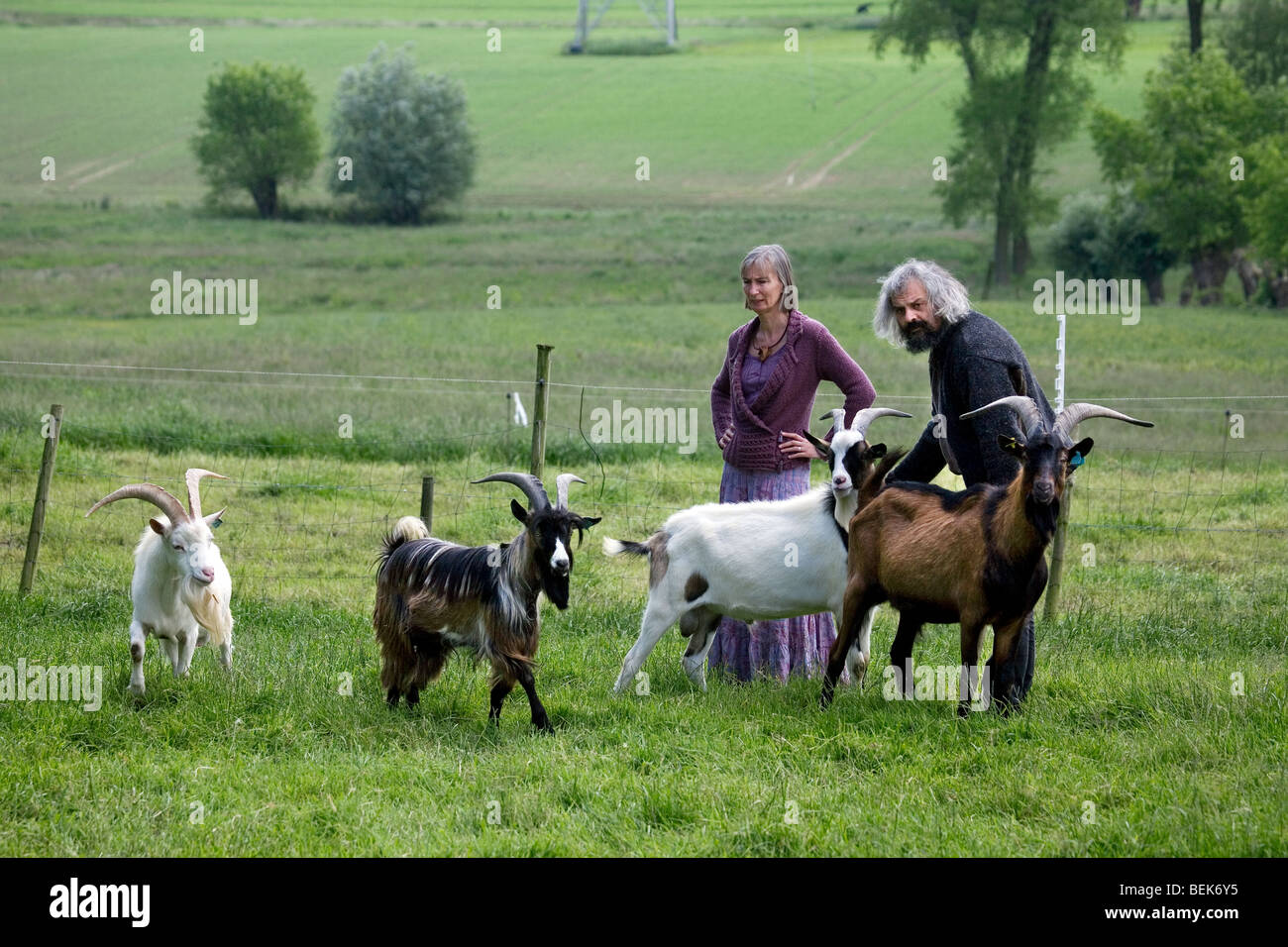 Couple goat keepers with herd of male goats (Capra hircus) in meadow ...