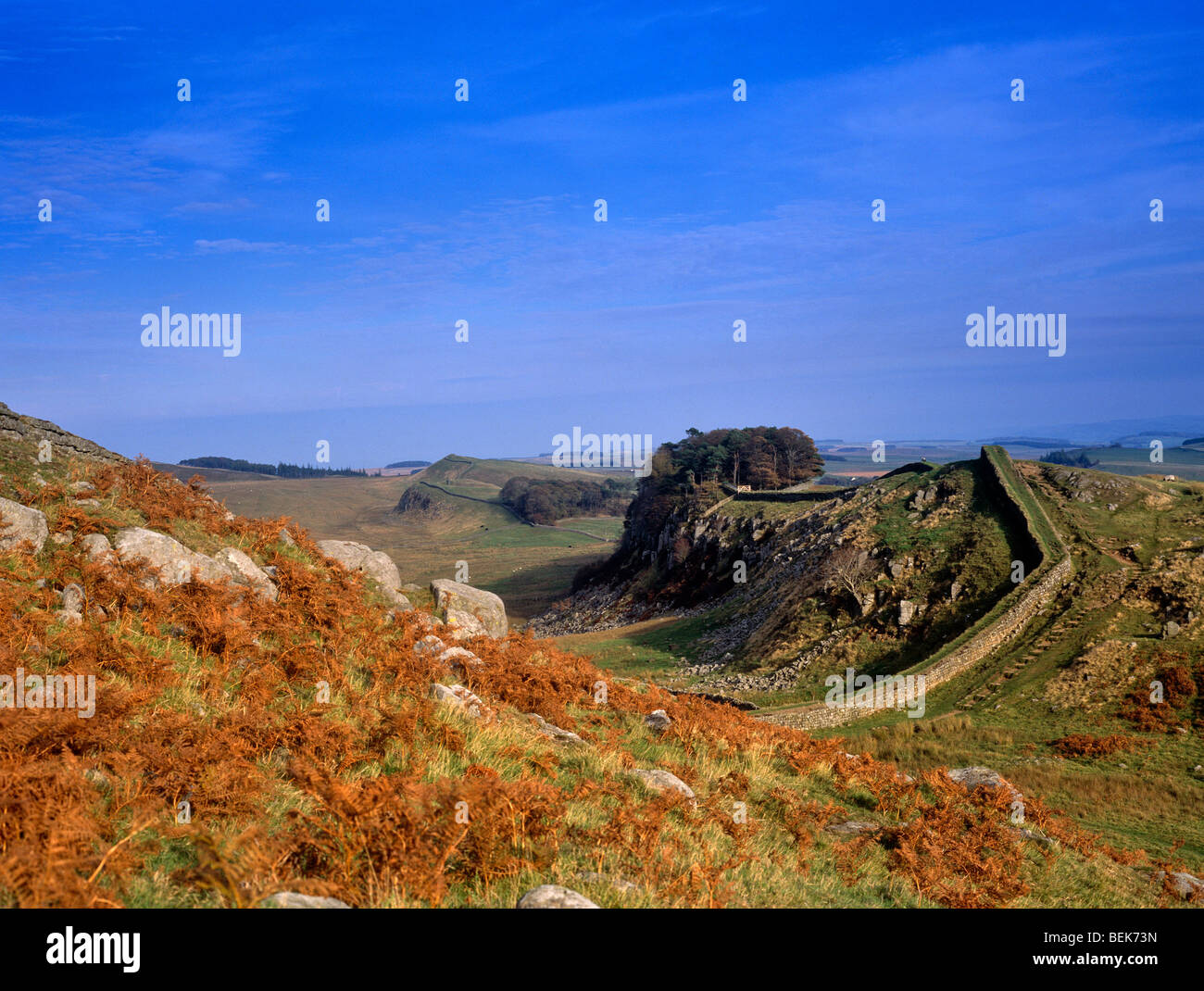 View east towards Cuddys Crag and Housesteads Fort. Autumn. HADRIANS ...