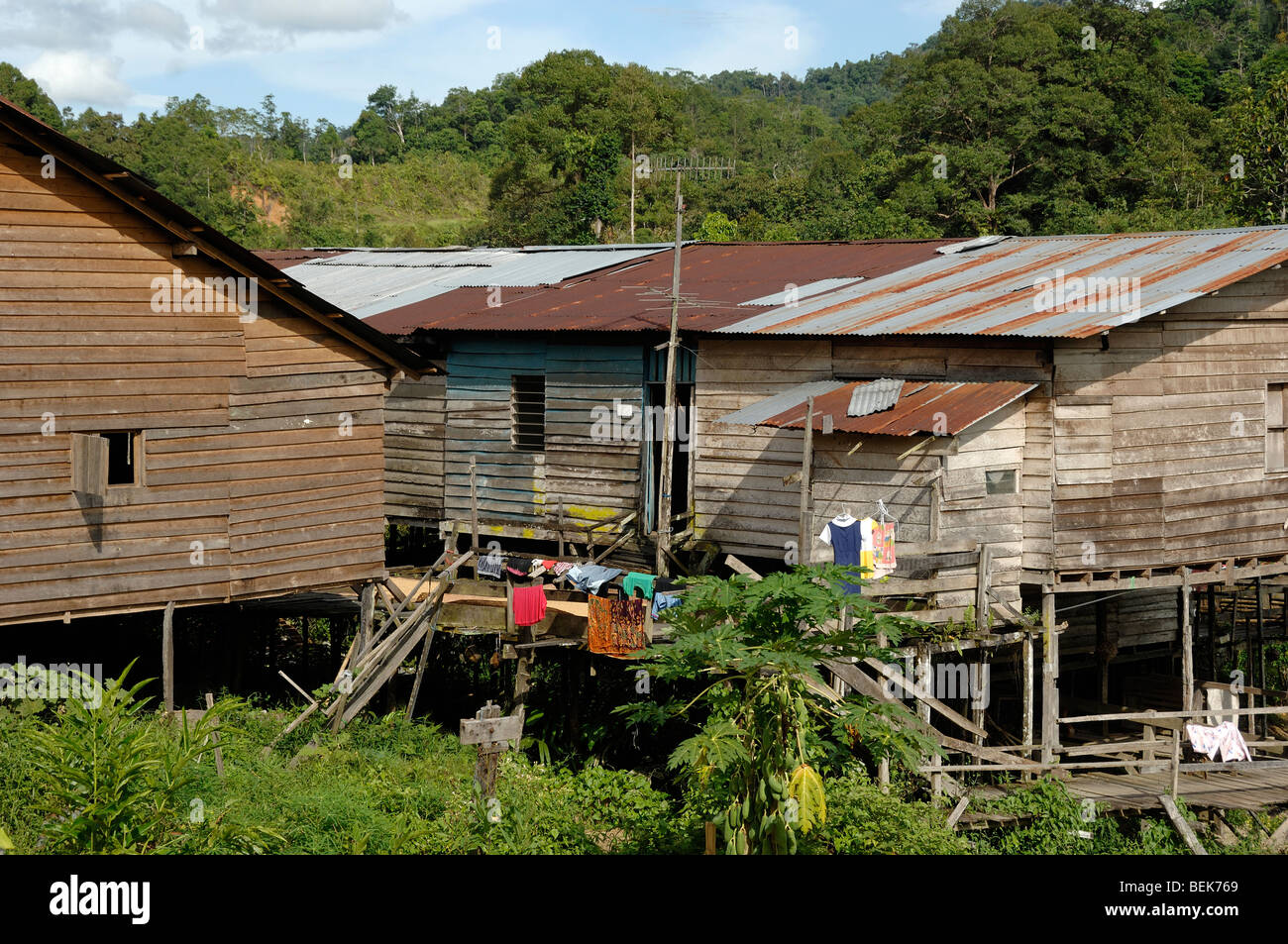 Kapit Sarawak High Resolution Stock Photography and Images - Alamy