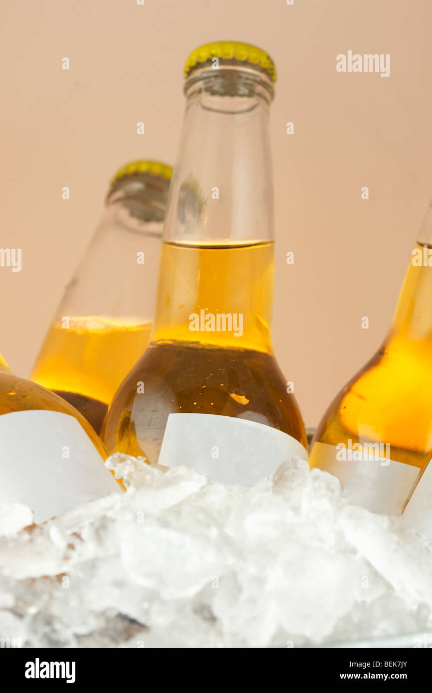 Close-up of beer bottles in ice Stock Photo - Alamy