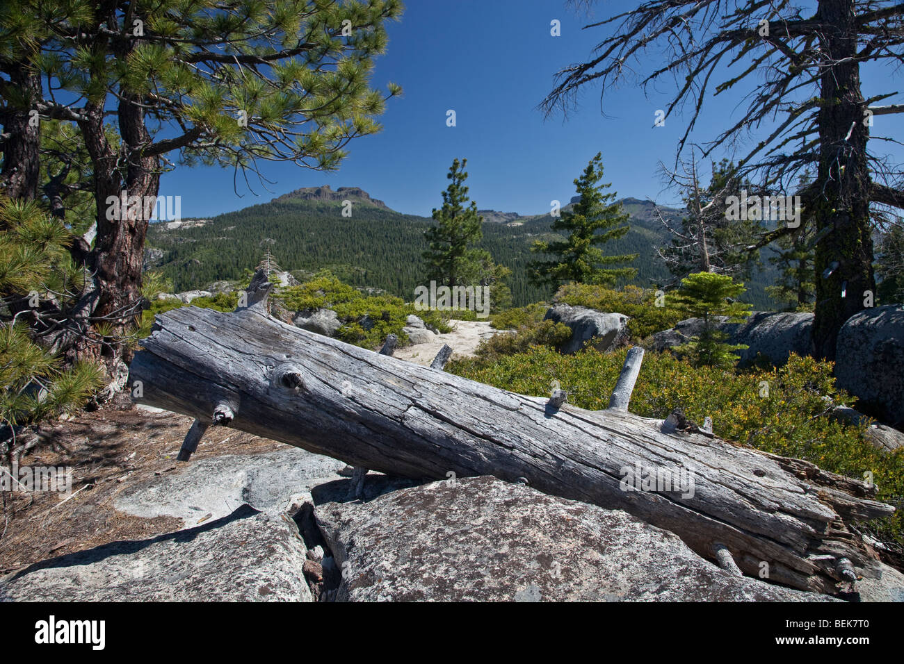 Donnell hi-res stock photography and images - Alamy