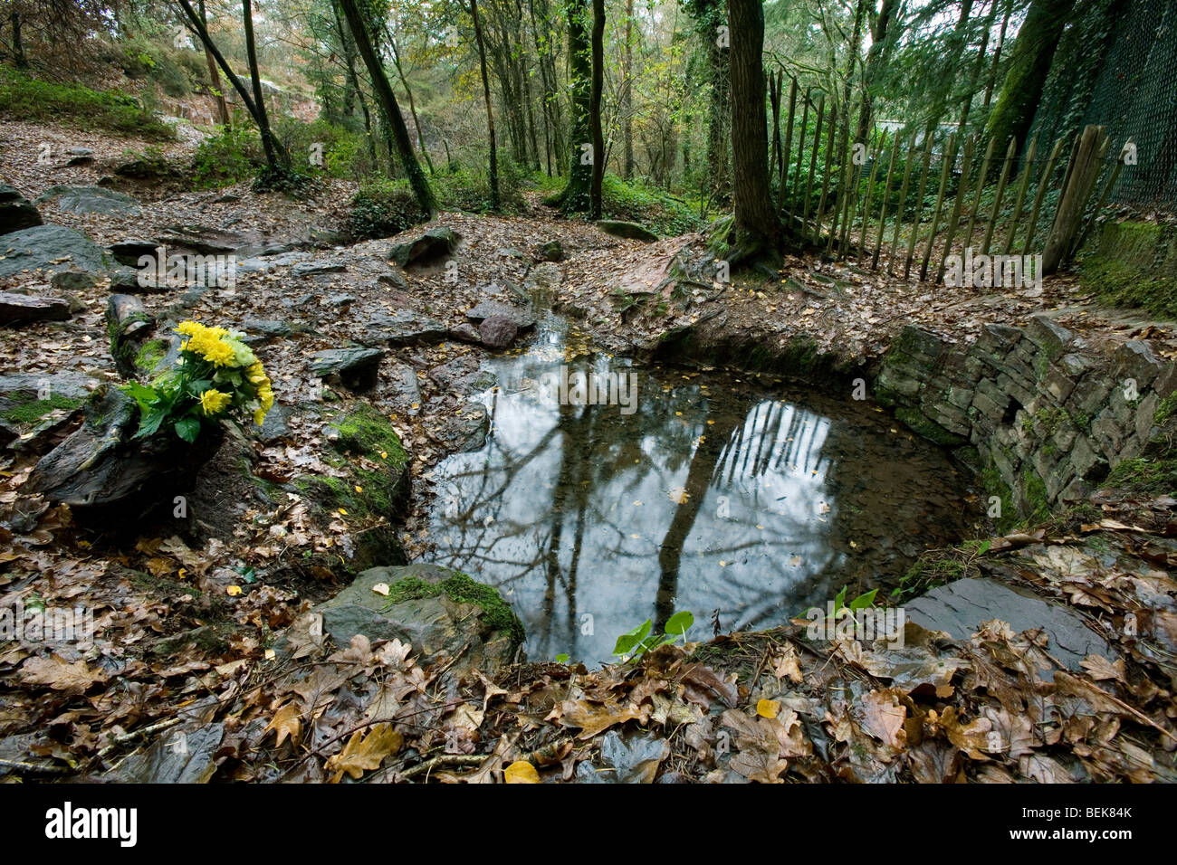 Paimpont hi-res stock photography and images - Alamy