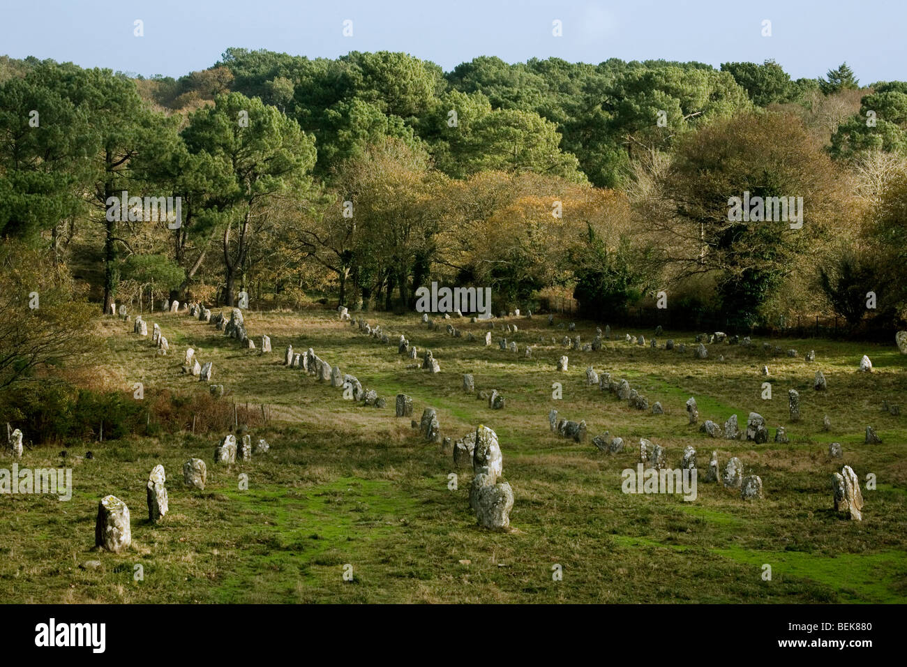 Neolithic menhirs / standing stones at Carnac, Brittany, France Stock ...