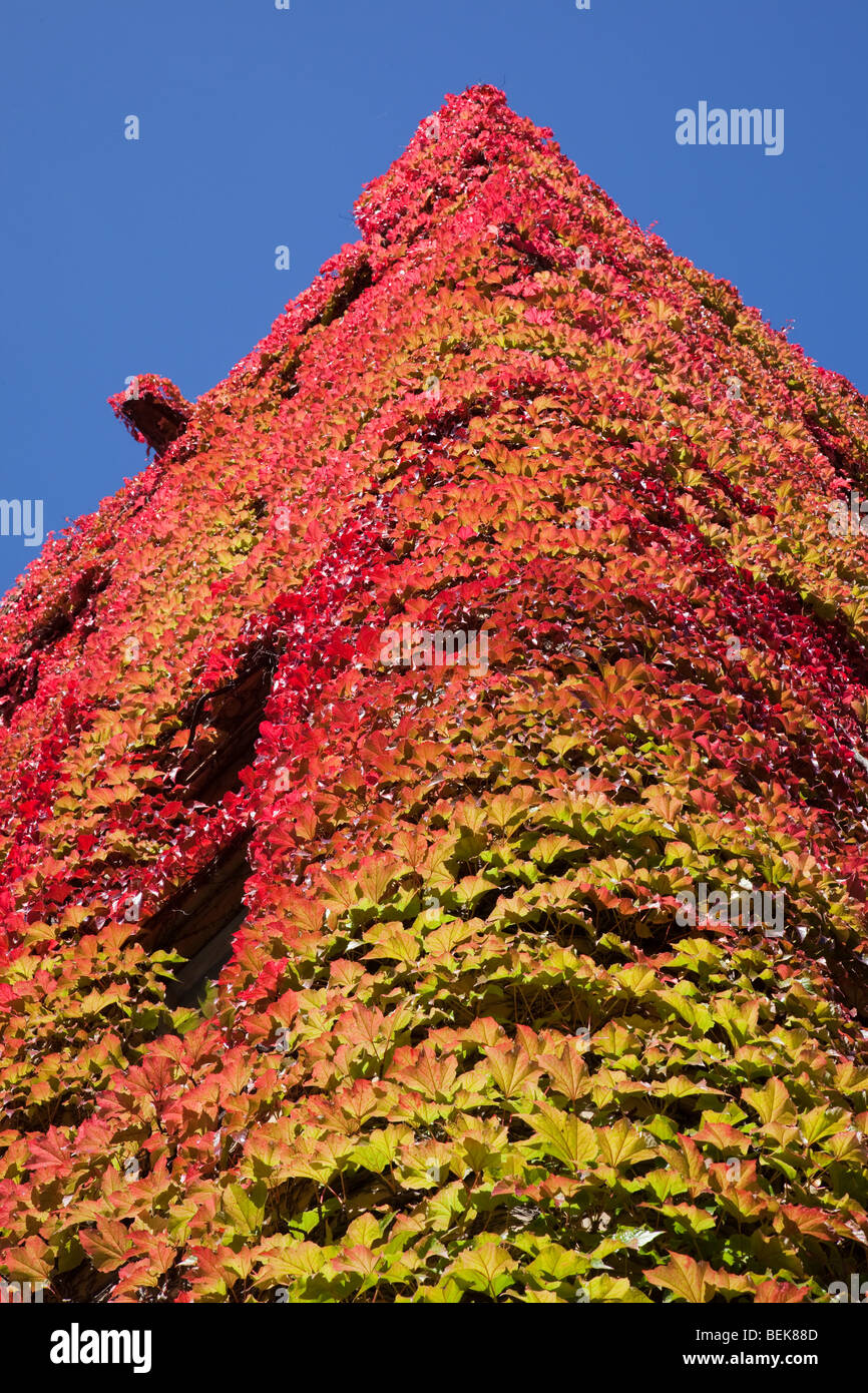 Beyer building manchester university hi-res stock photography and ...