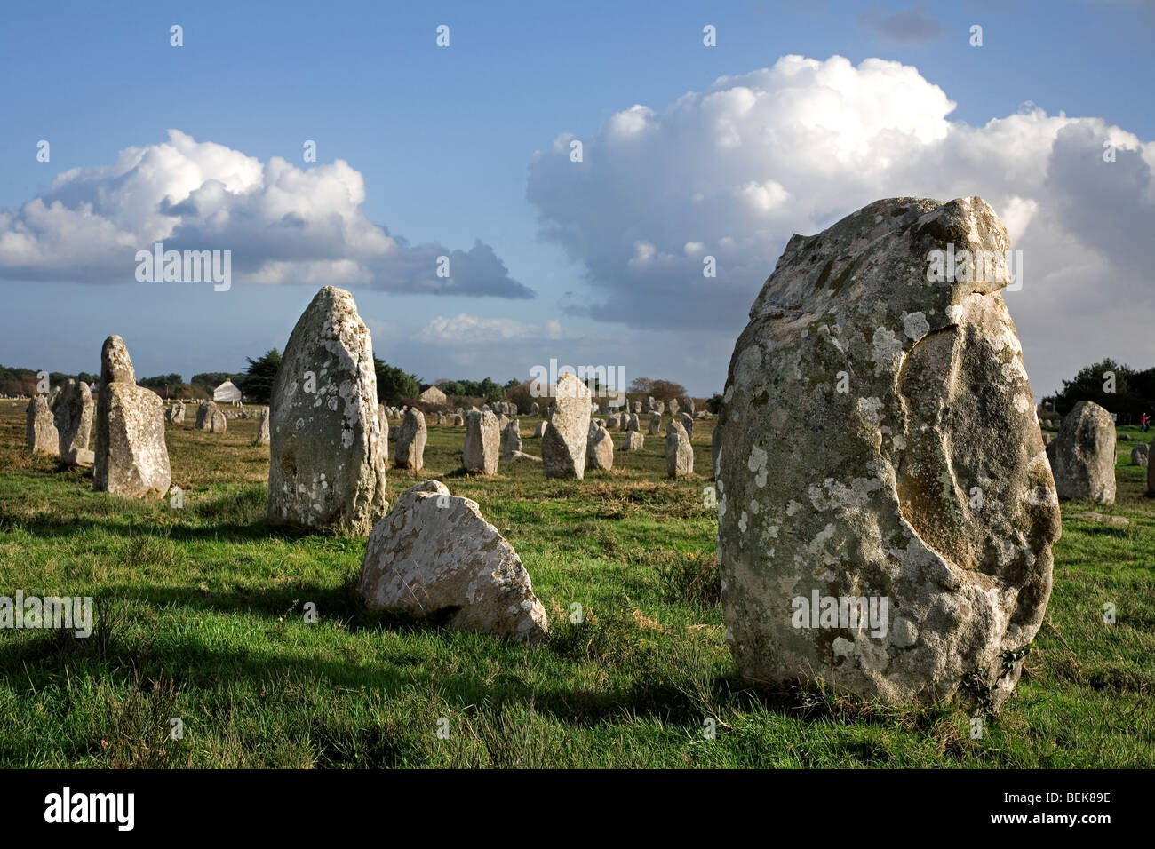 Neolithic menhirs / standing stones at Carnac, Brittany, France Stock ...