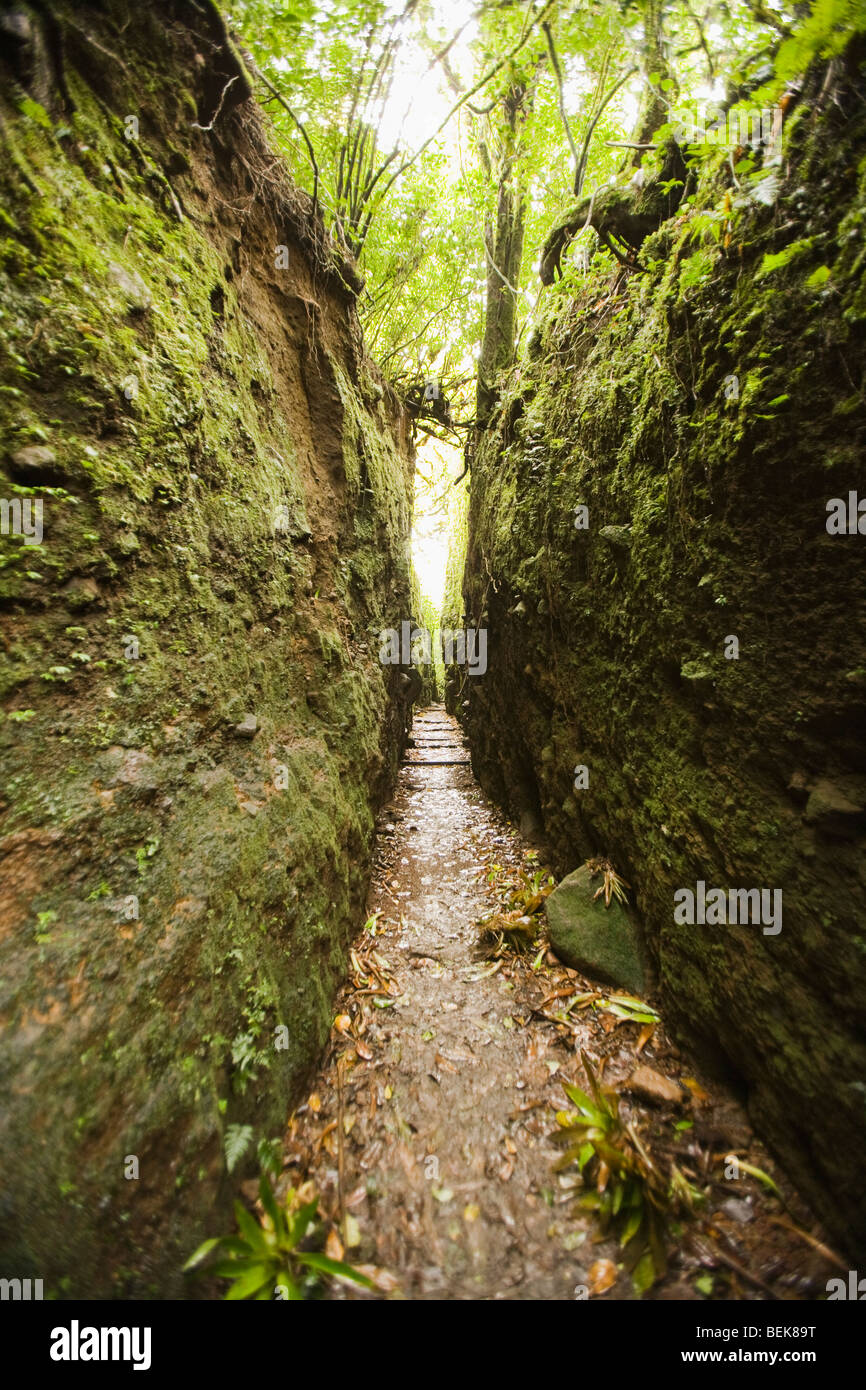 Narrow passage through hi-res stock photography and images - Alamy