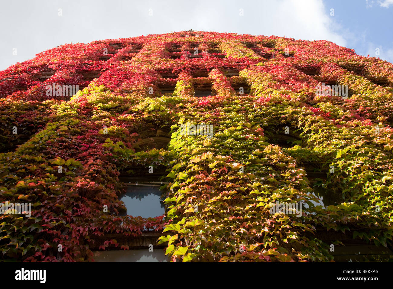 The beyer building hi-res stock photography and images - Alamy