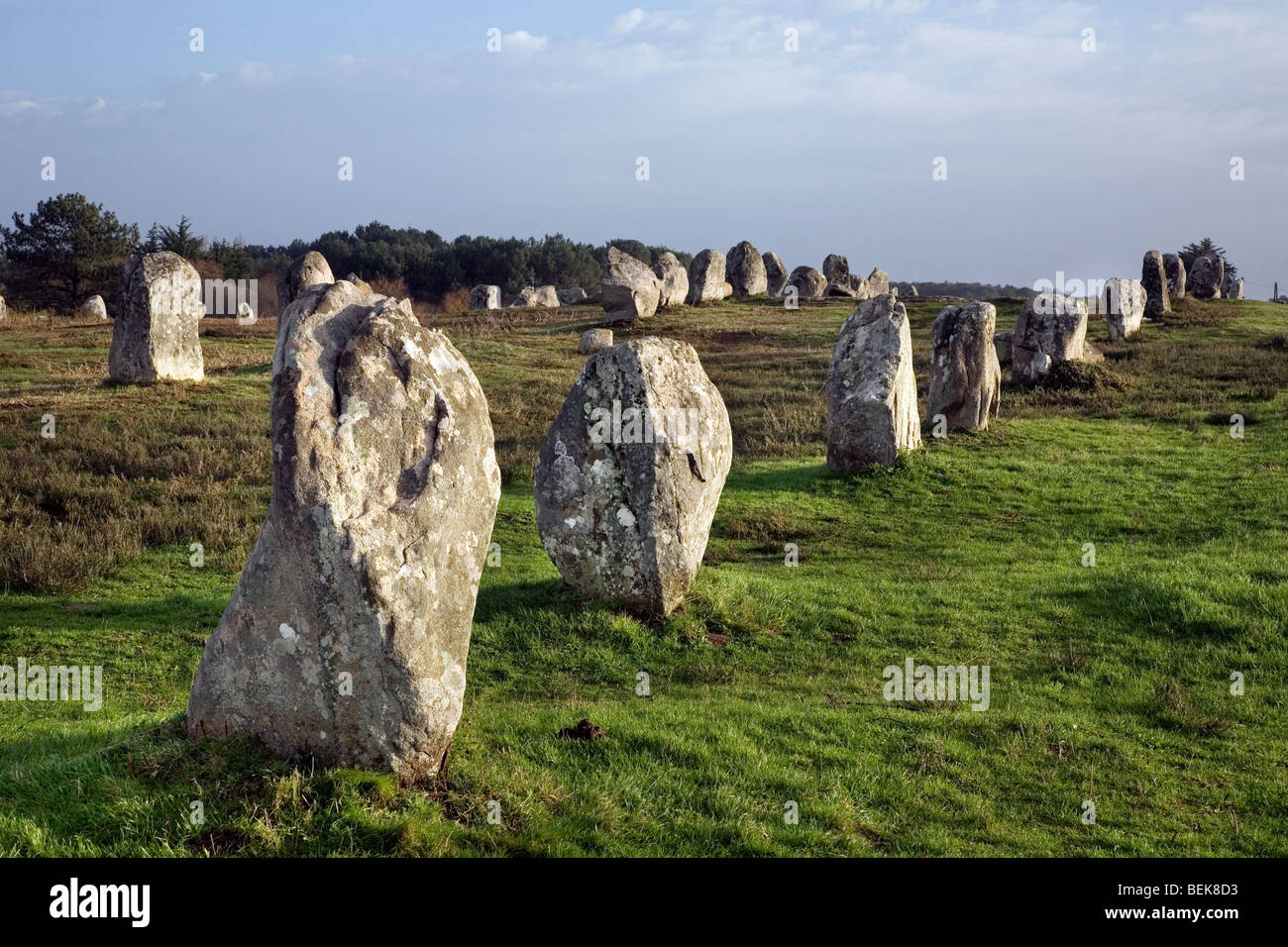Neolithic menhirs / standing stones at Carnac, Brittany, France Stock ...