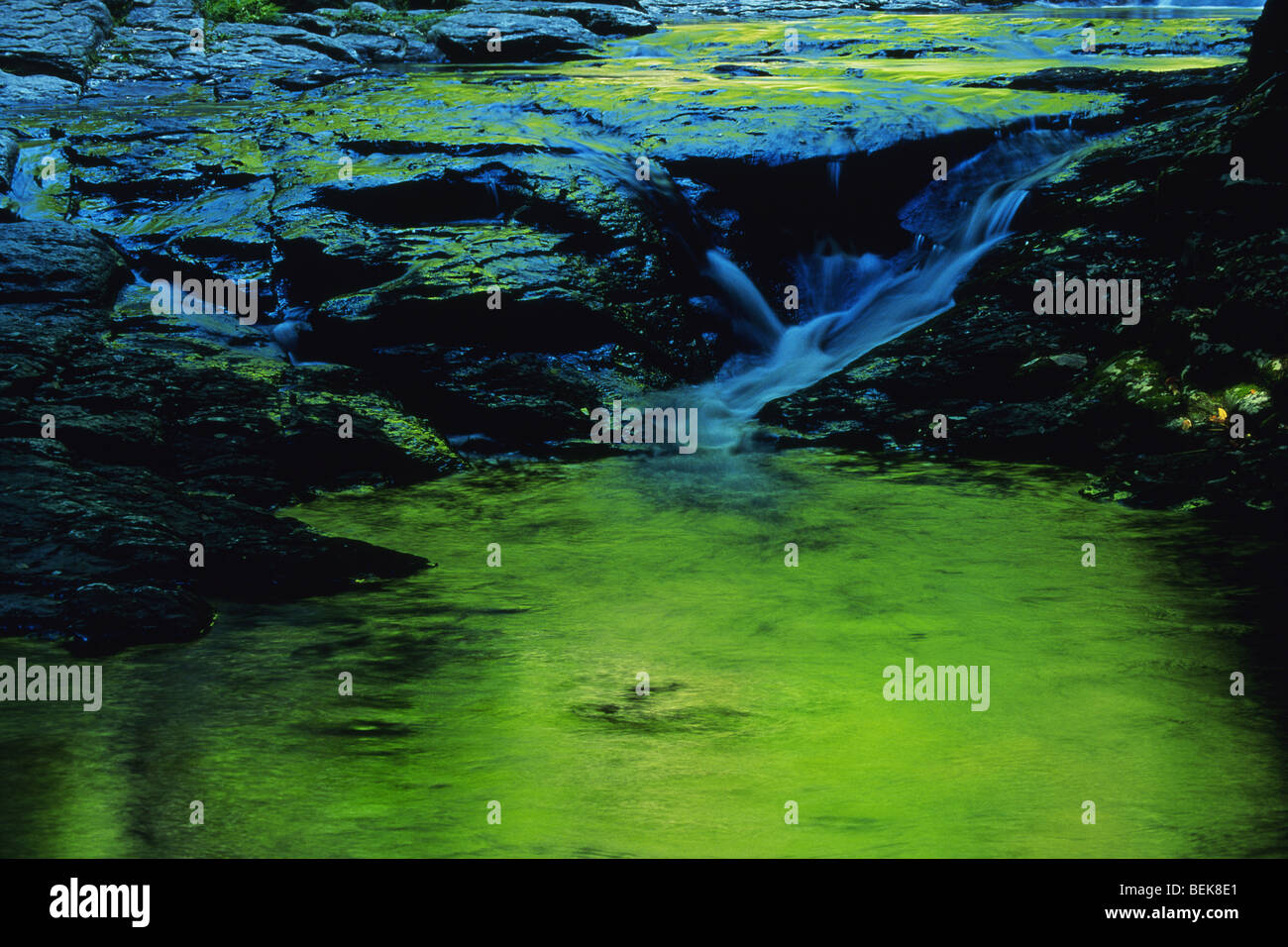 River flowing over algae covered rocks Stock Photo - Alamy