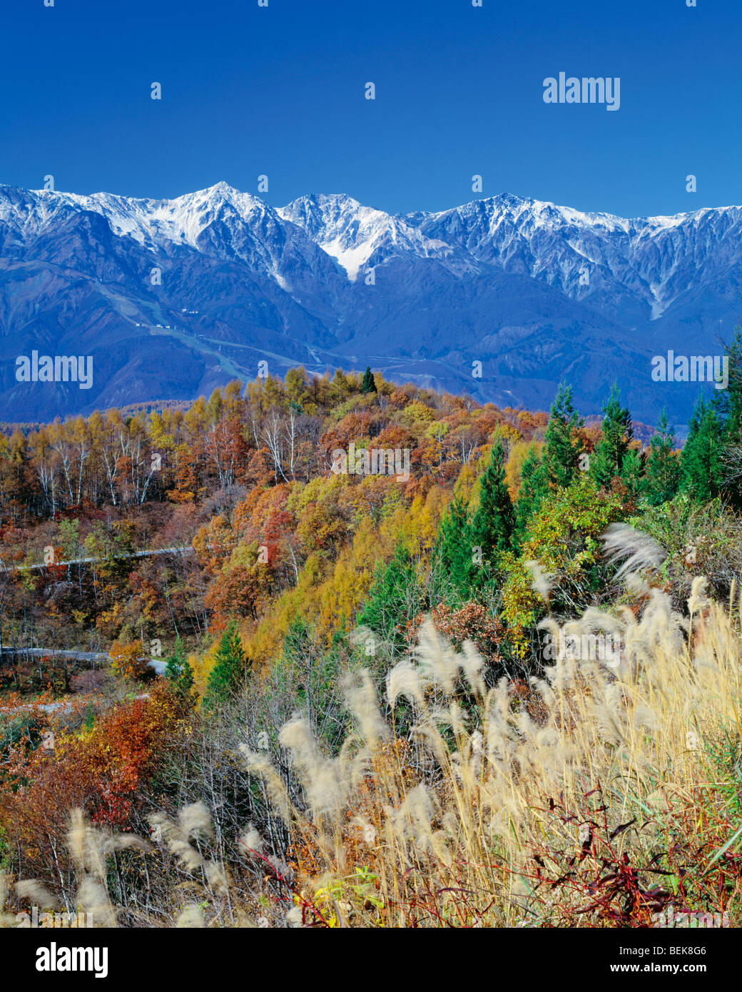 Hakuma miyama hi-res stock photography and images - Alamy