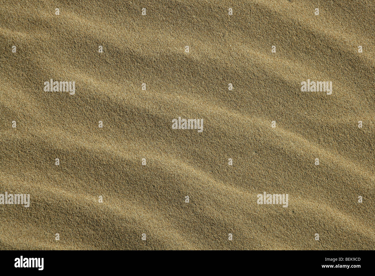 Wavy sea shore sand texture on sunshine, golden macro background Stock ...