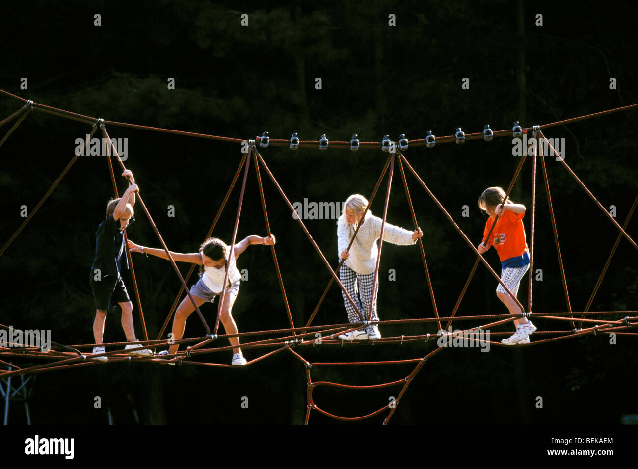 Children crossing rope bridge, Belgium Stock Photo - Alamy