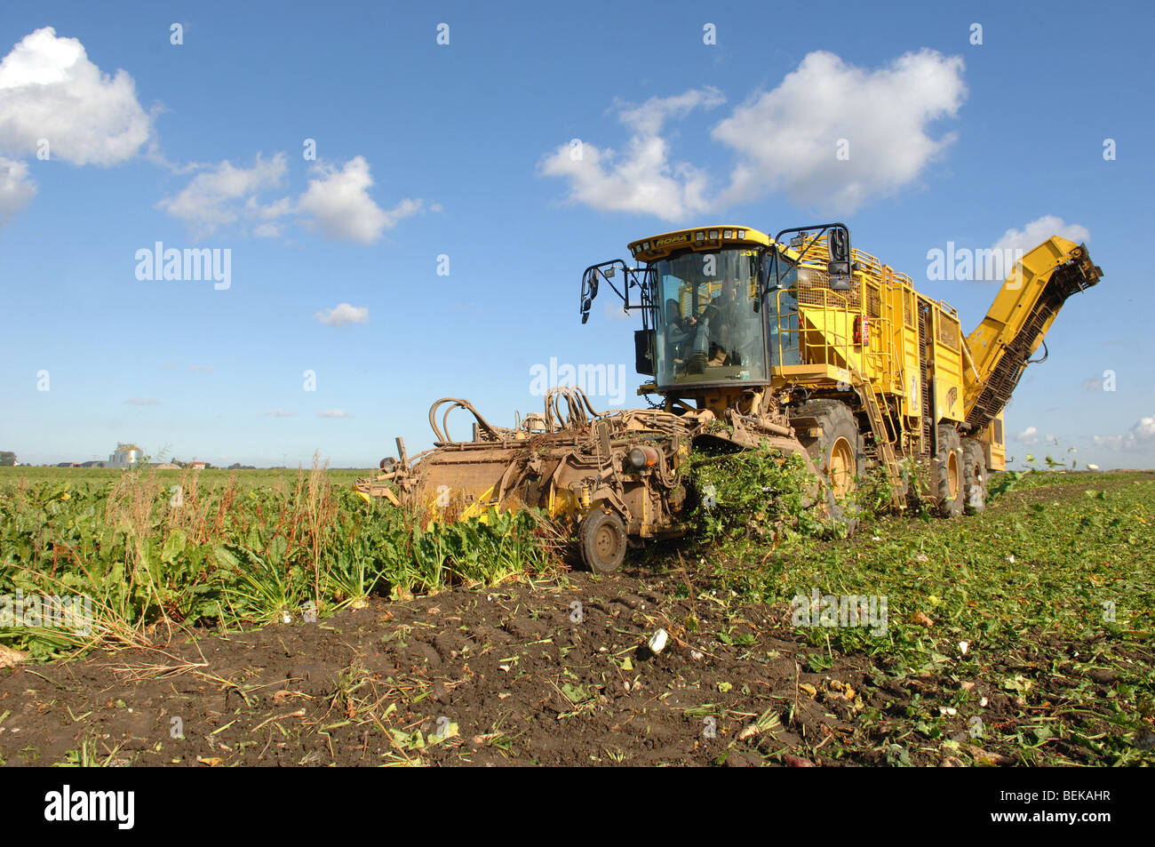 Fodder beet harvester hi-res stock photography and images - Alamy