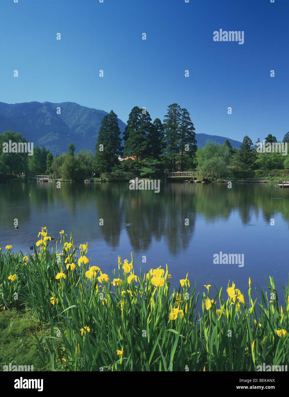 Kinrin Lake and Mt. Yufu, Oita Prefecture, Japan Stock Photo - Alamy