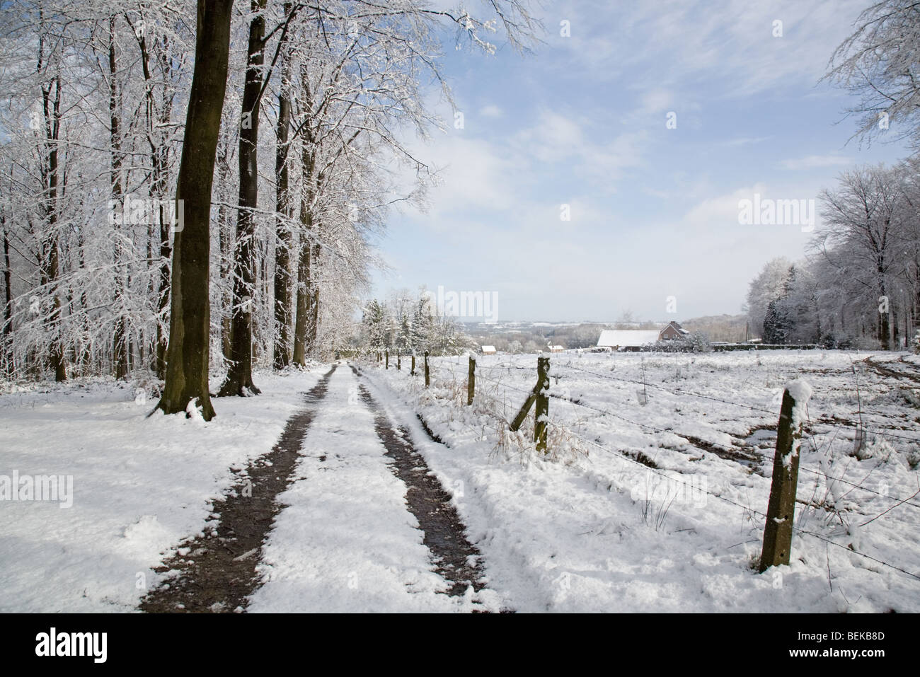 Belgium Landscape Winter