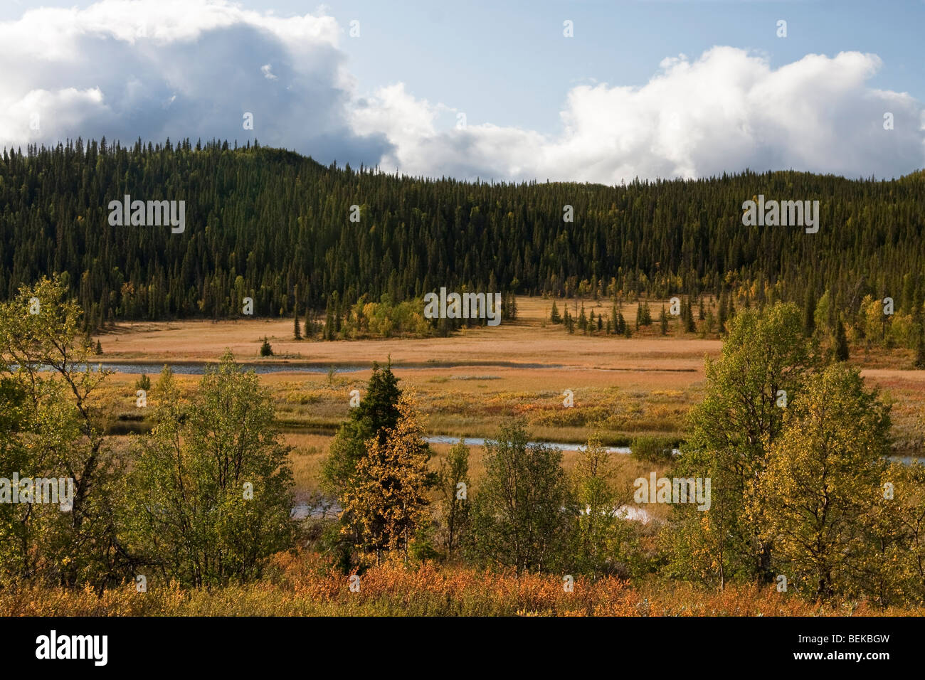 Sarek National Park Stock Photo - Alamy