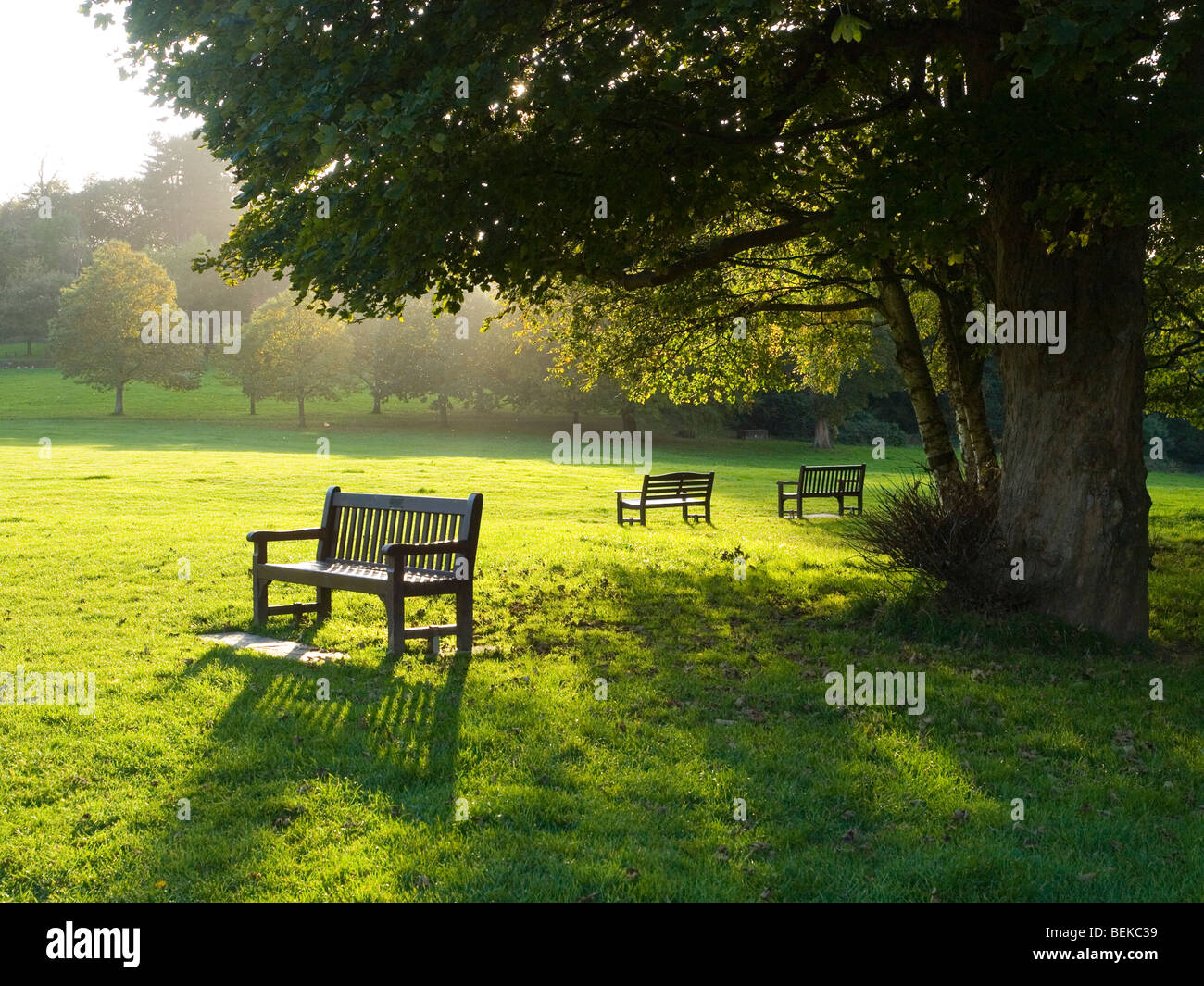 Dusk at the Gnoll Estate Country Park in Neath, Port Talbot Wales UK ...