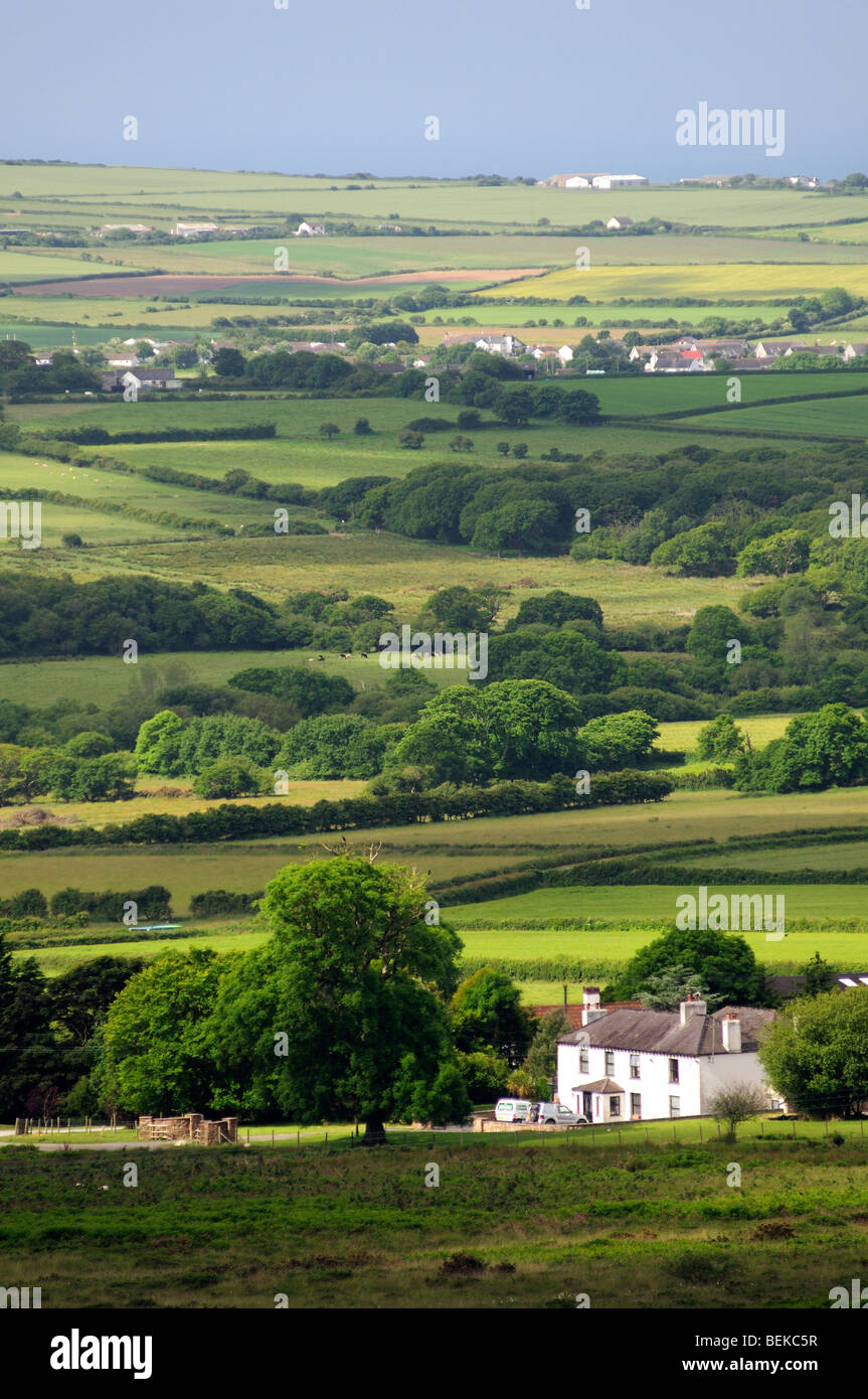 The Gower near Reynoldston Wales UK Stock Photo - Alamy