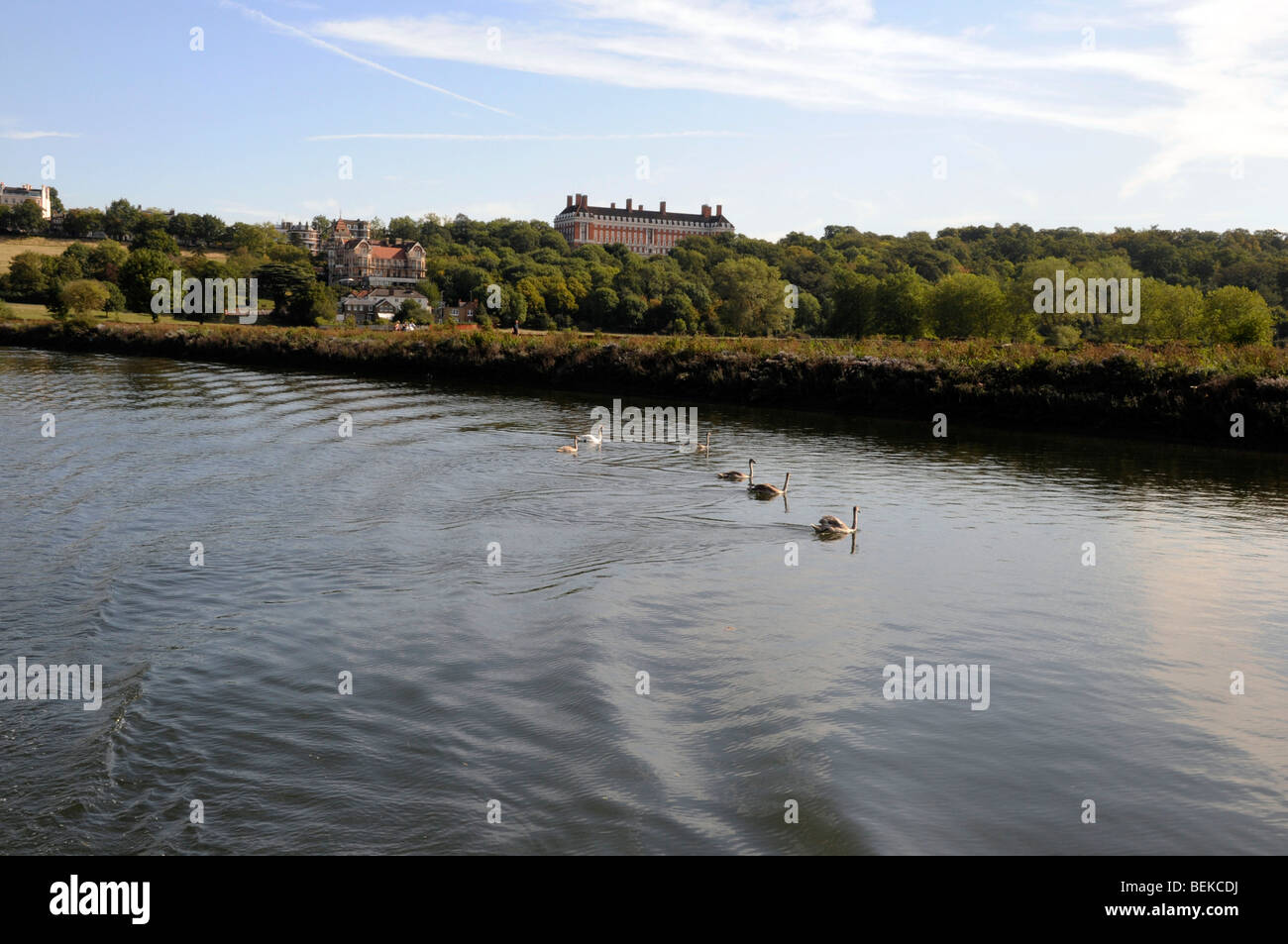 Richmond hill and family hi-res stock photography and images - Alamy
