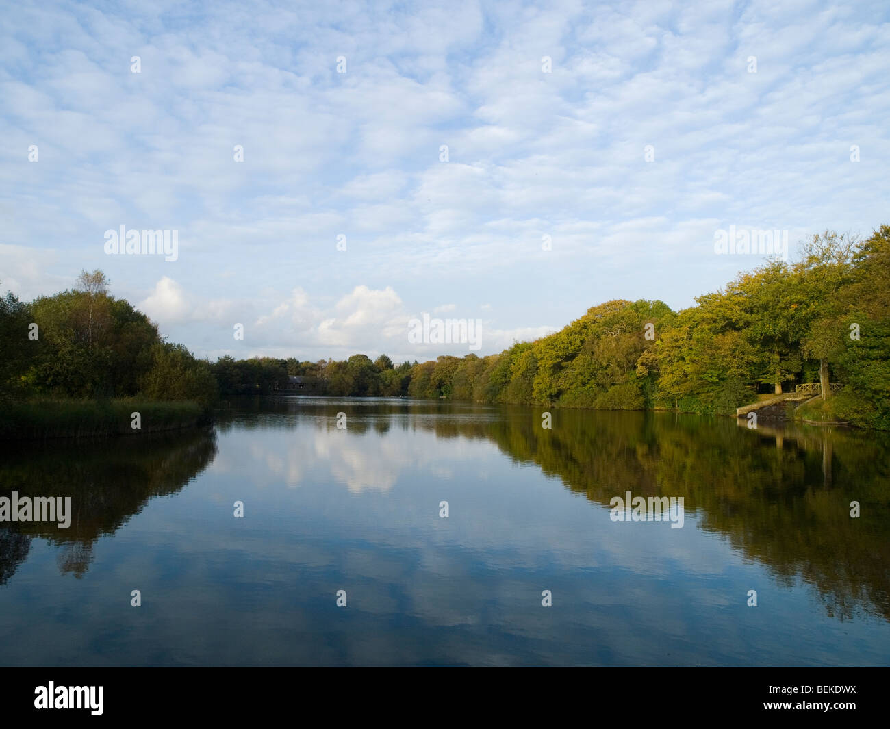 A calm afternoon at the Second Pond at the Gnoll Estate Country Park in ...