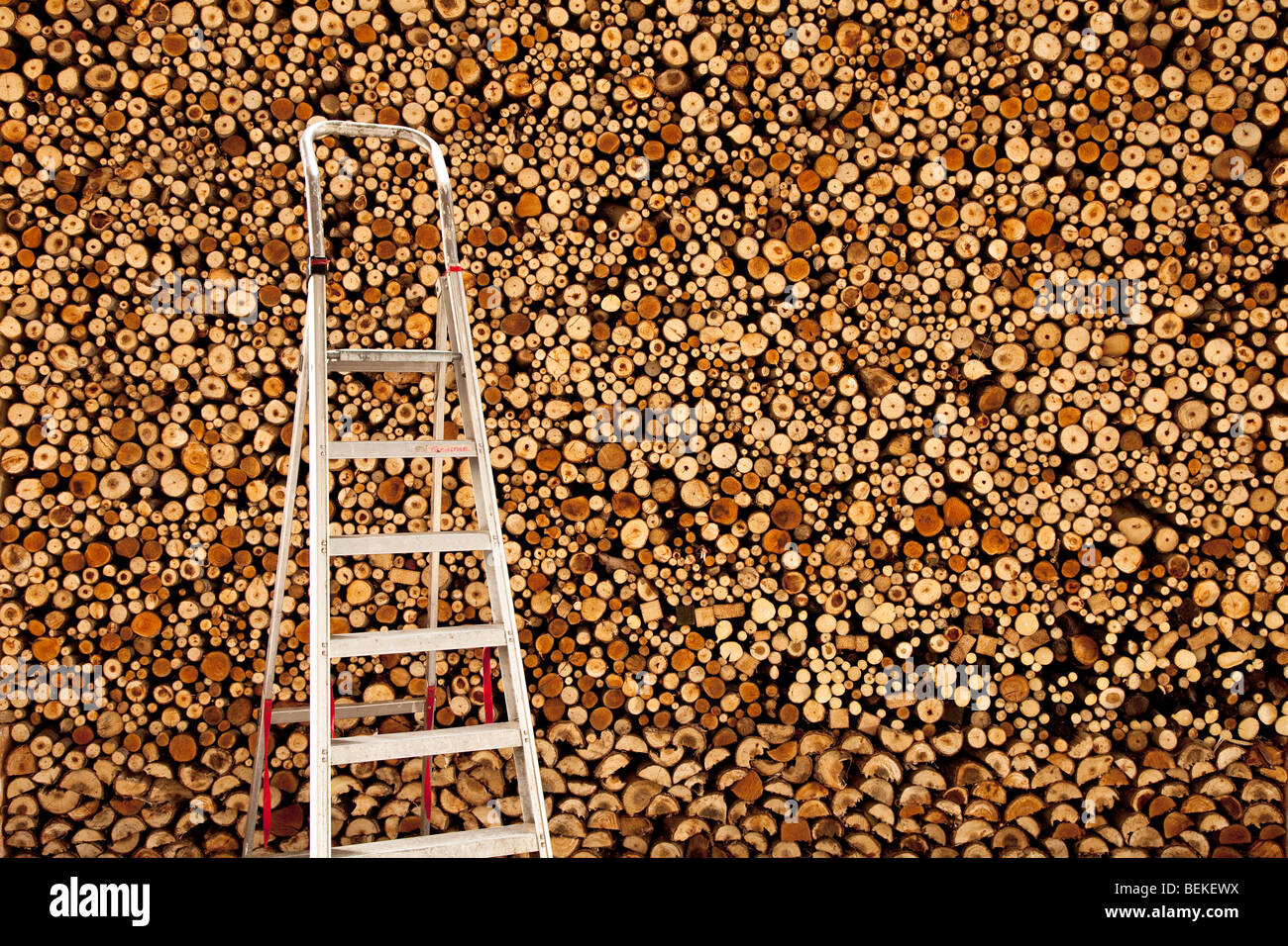 Step ladder hi-res stock photography and images - Alamy