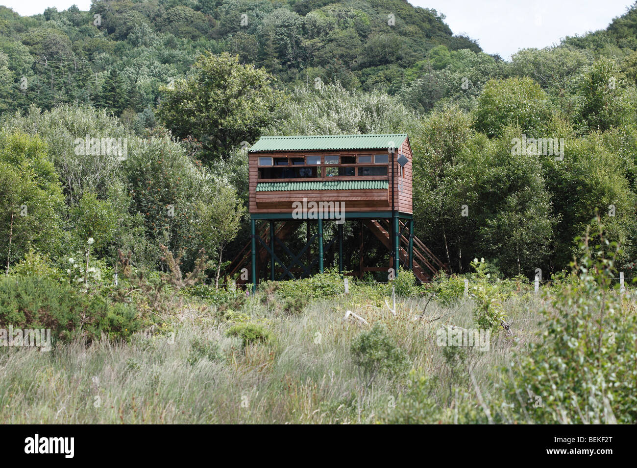 Cors dyfi nature reserve hi-res stock photography and images - Alamy