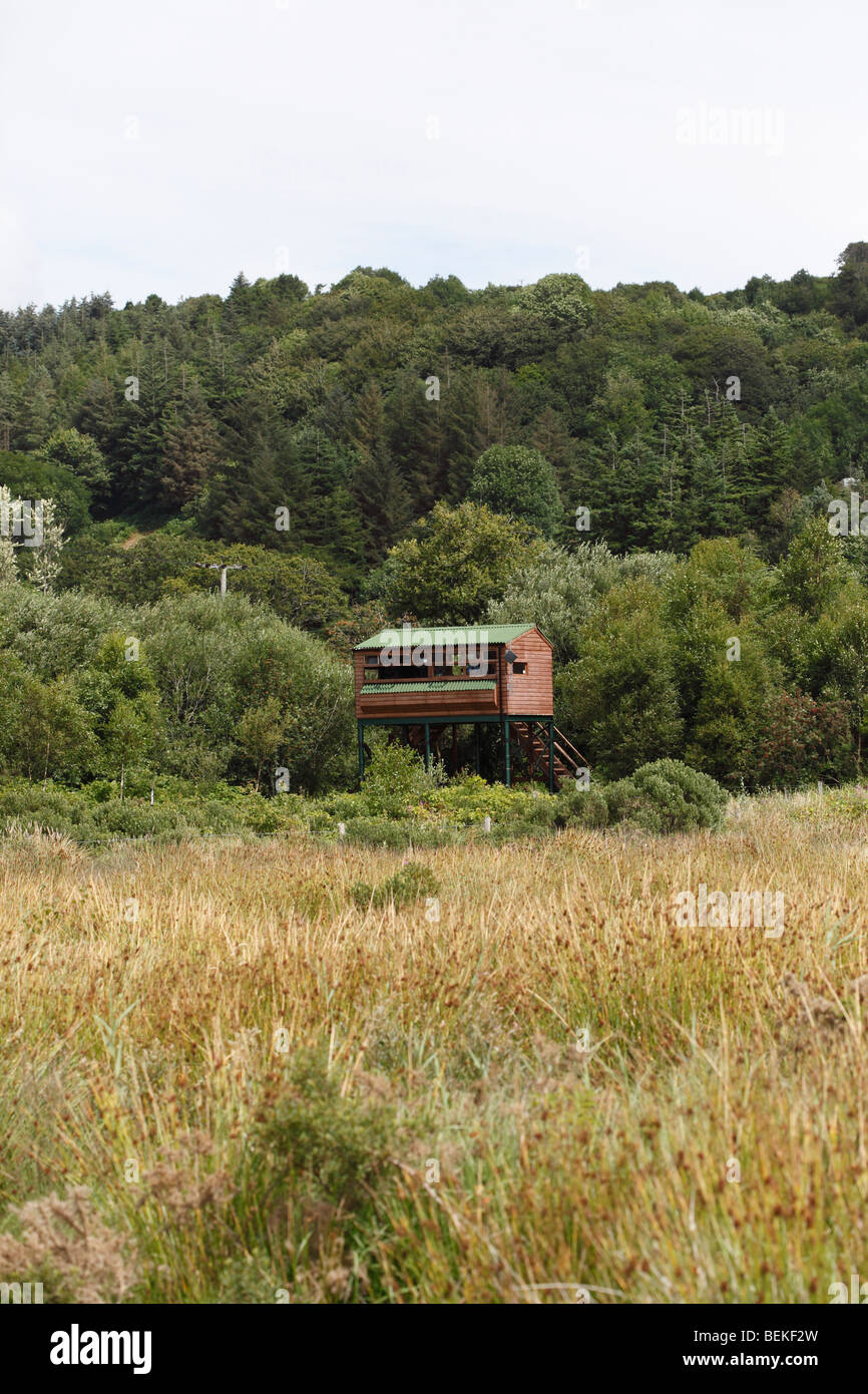 Dyfi osprey hi-res stock photography and images - Alamy