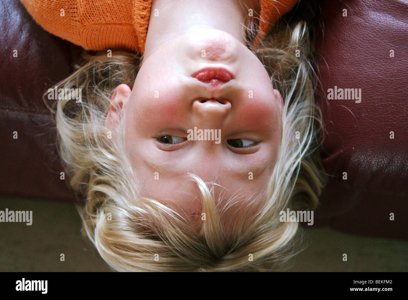 548 100 563 hi-res stock photography and images - Alamy
