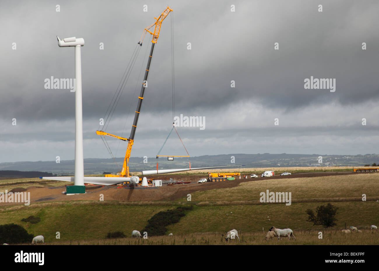 Brechfa High Resolution Stock Photography and Images - Alamy