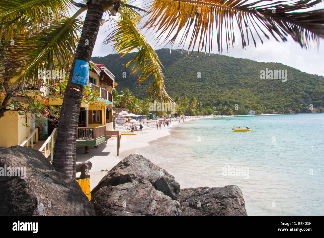 Quito rymer hi-res stock photography and images - Alamy