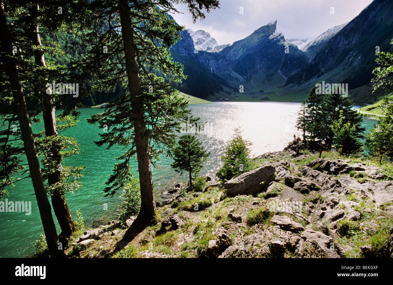 The mountain lake Seealpsee at Appenzell , Switzerland Stock Photo - Alamy