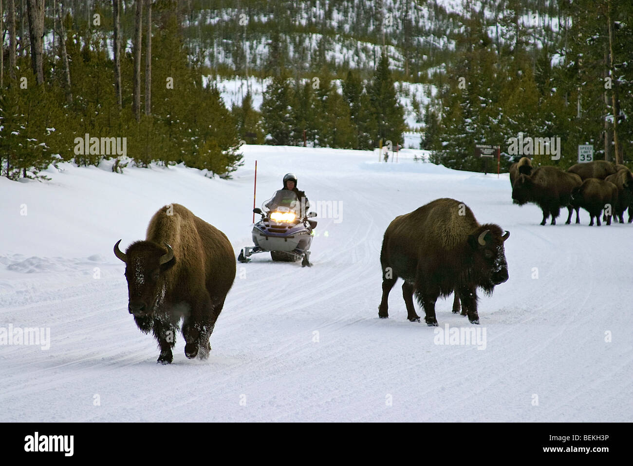 Madison junction hi-res stock photography and images - Alamy
