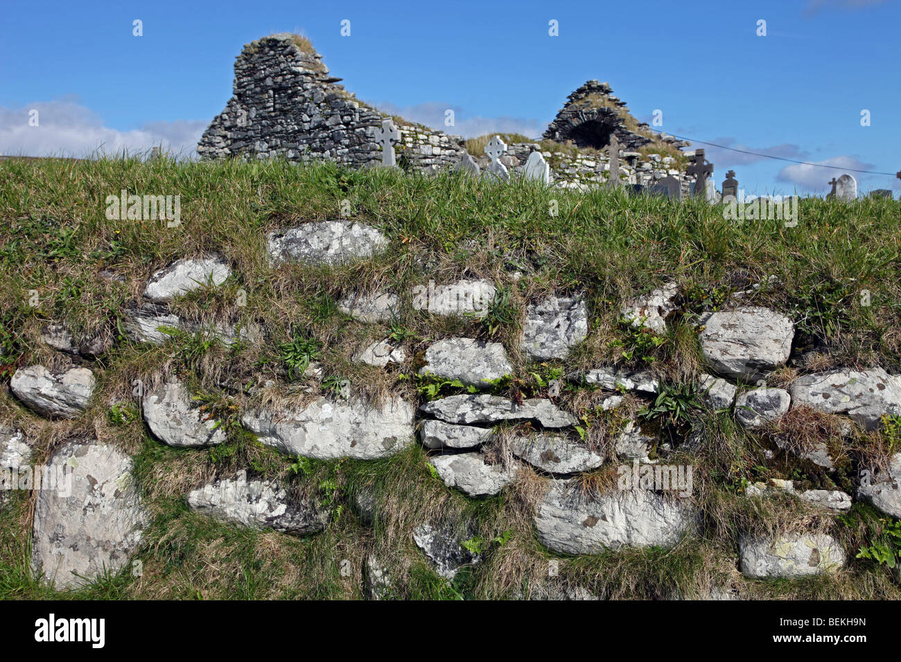 Drystone churchyard wall colonised by plants, KilCatherine, Beara ...