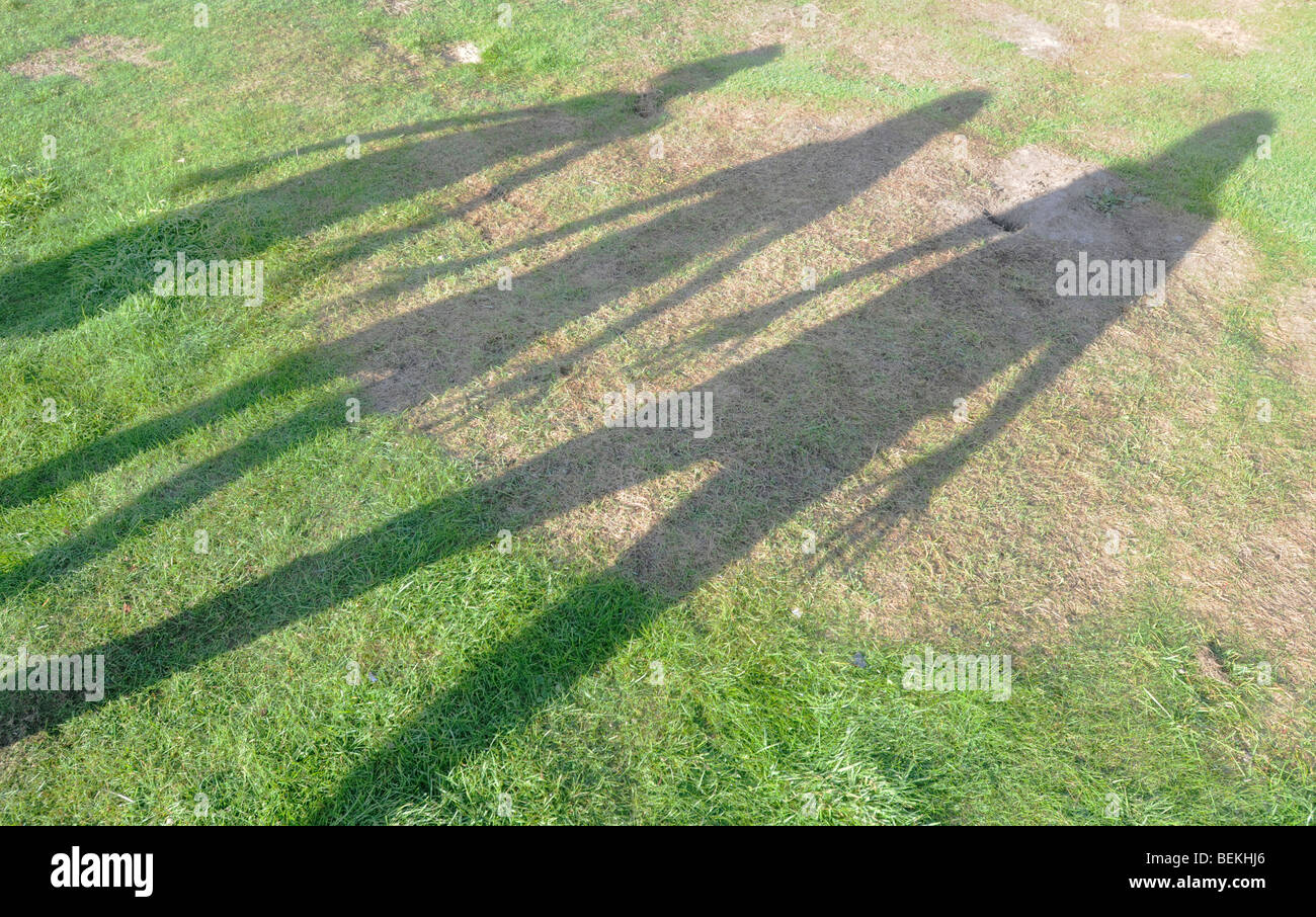 3 children casting shadows in the late summer sun Stock Photo - Alamy