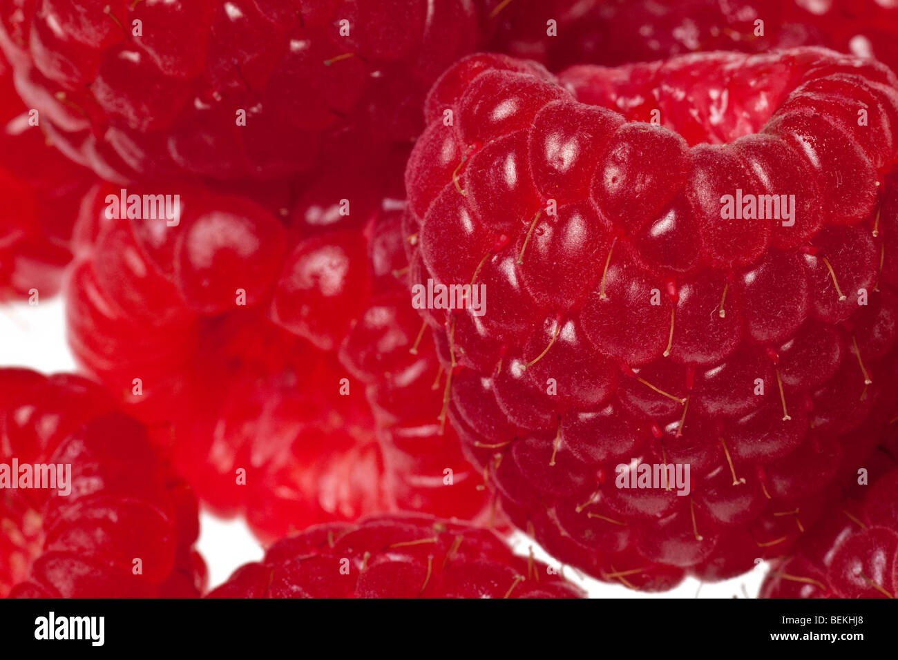 raspberry isolated on a pure white background Stock Photo - Alamy
